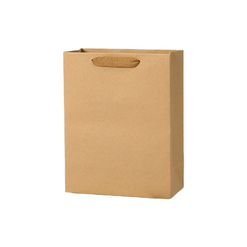 Premium paper bags with cloth handles in bulk order | ABZ Packaging